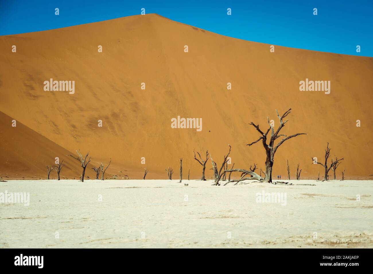 Noon time hi-res stock photography and images - Alamy