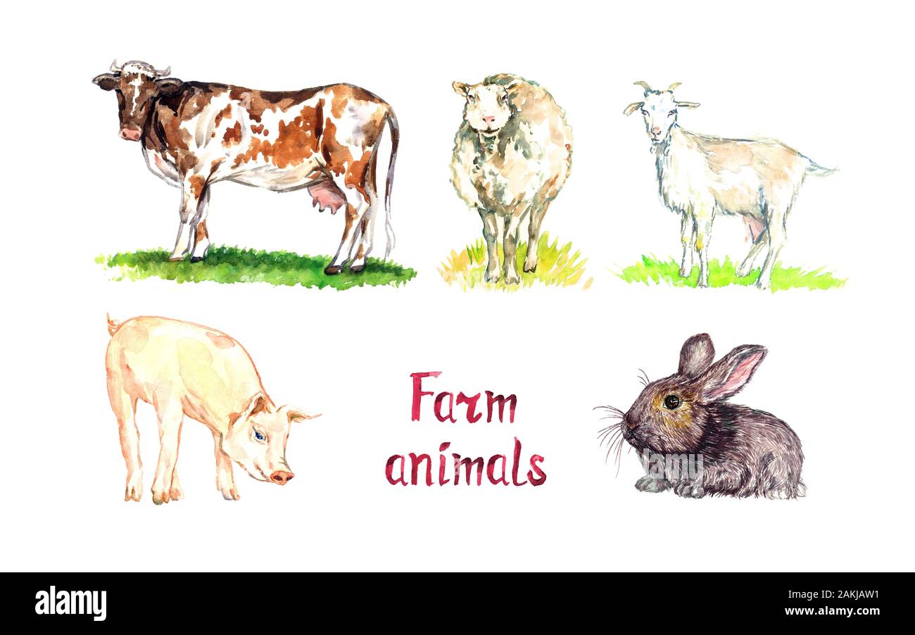 Farm animals collection, Red cow, white sheep, goat, pig and rabbit ...