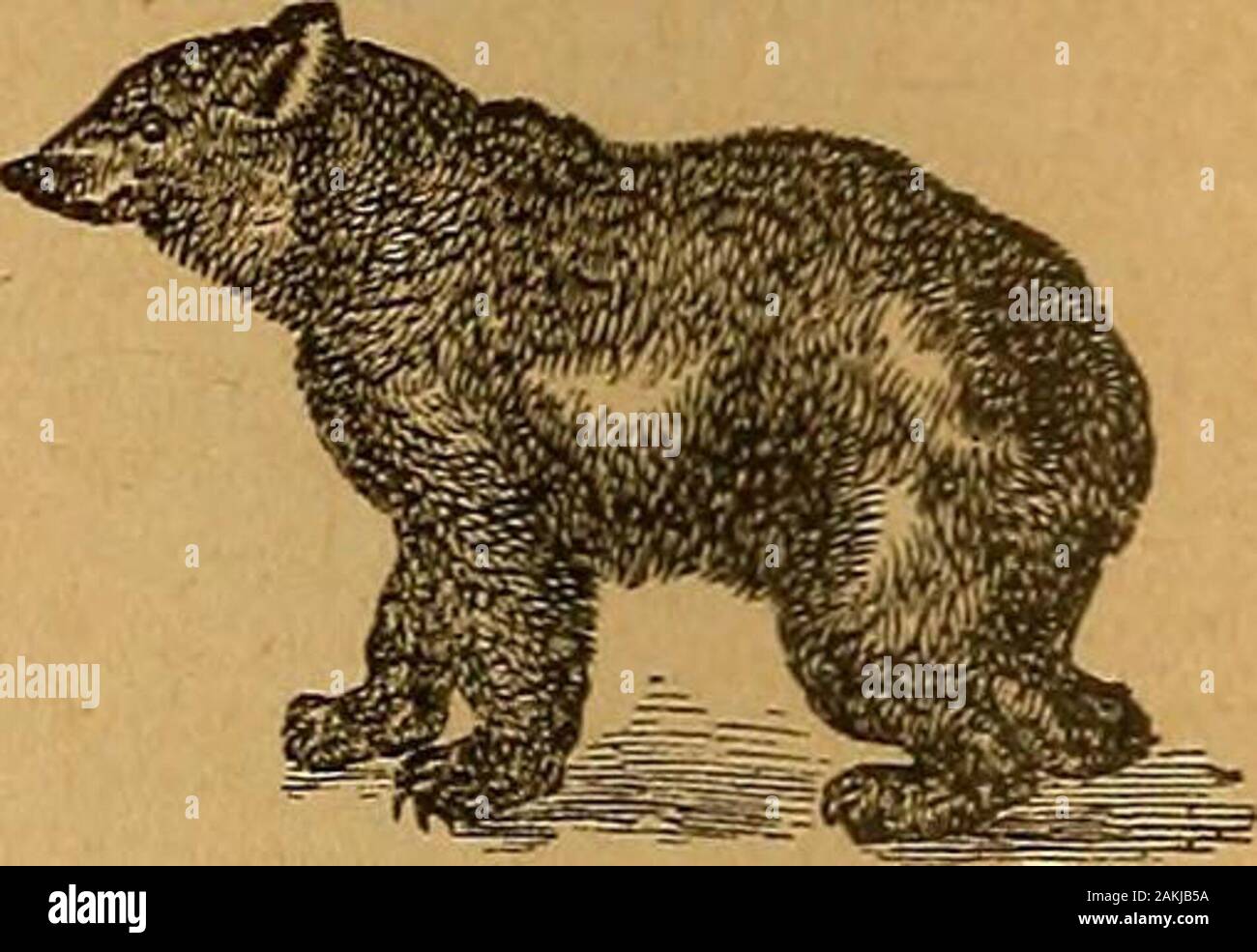 Parish beadle hi-res stock photography and images - Alamy