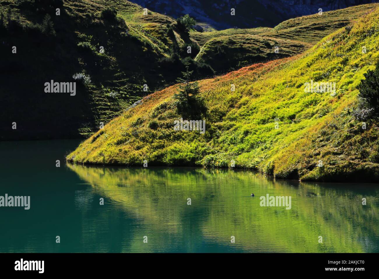 The Schrecksee is a mountain lake in the high Alps Stock Photo - Alamy