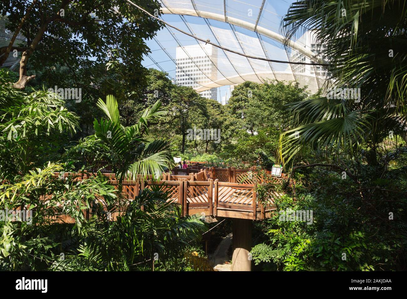 Hong Kong Park; tourists walking in the walk through aviary, Hong Kong ...