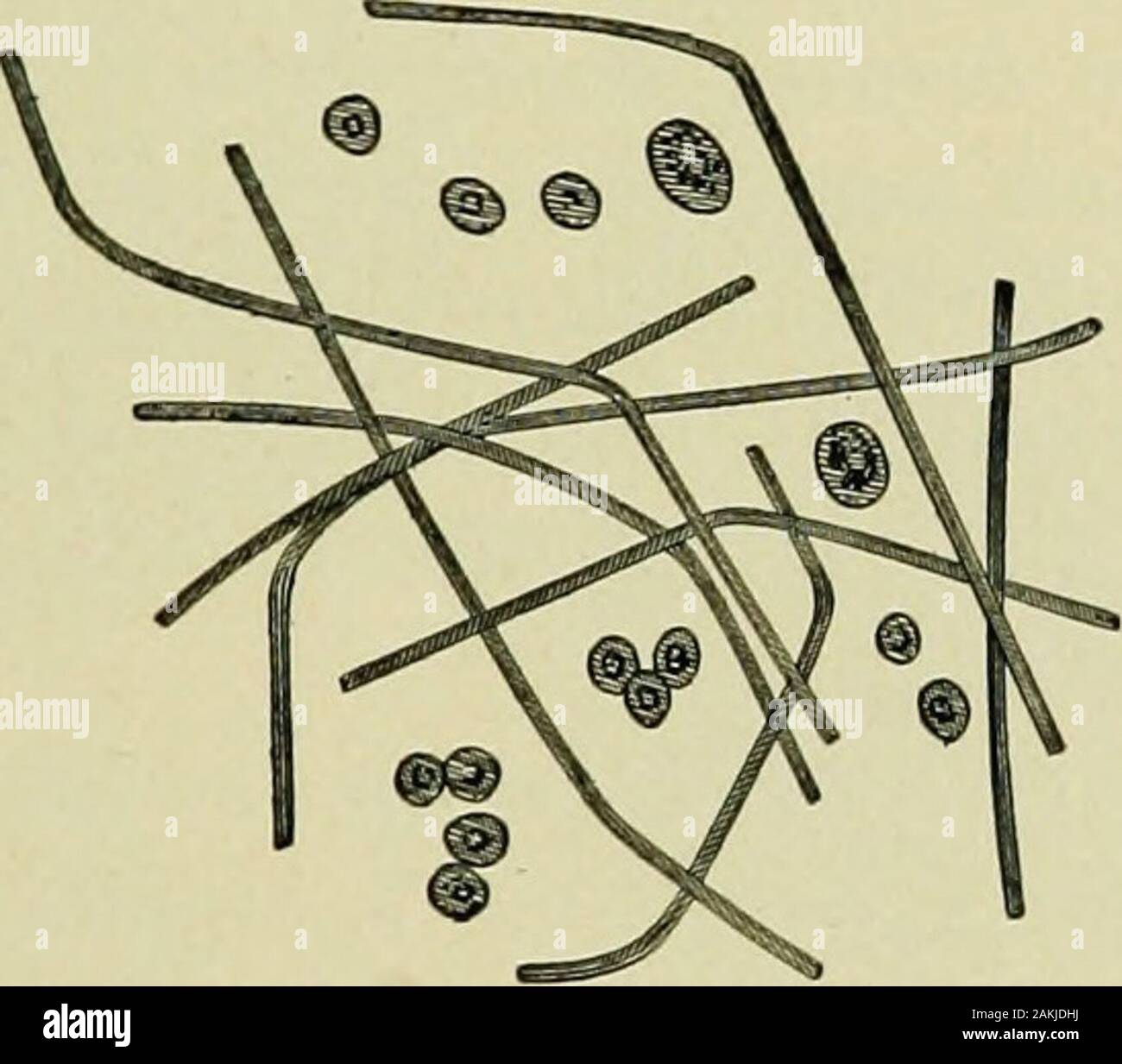 A manual of the modern theory and technique of surgical asepsis . Micro ...