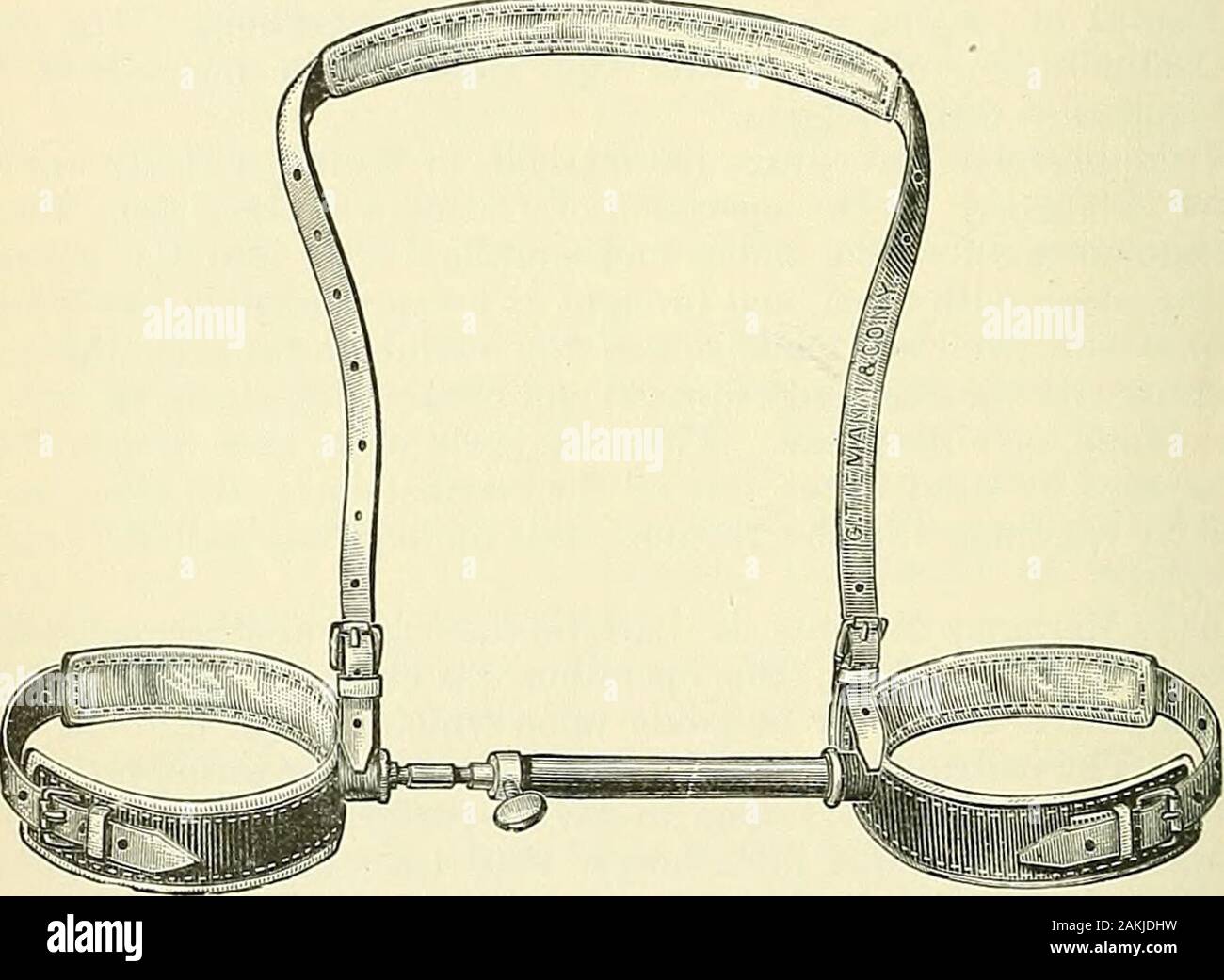 An American text-book of genito-urinary diseases, syphilis and diseases ...