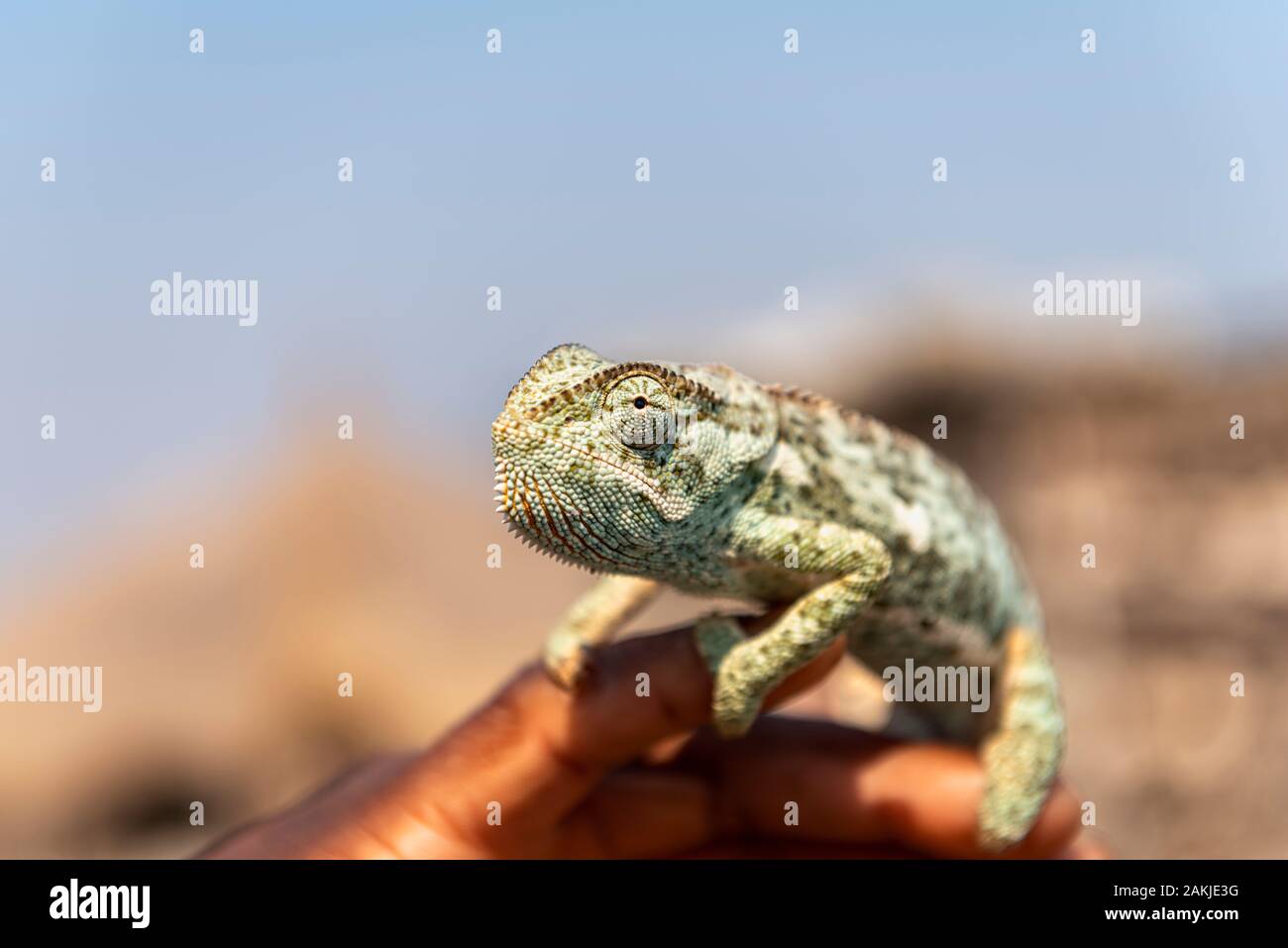 Africa Exotic High Resolution Stock Photography and Images - Alamy