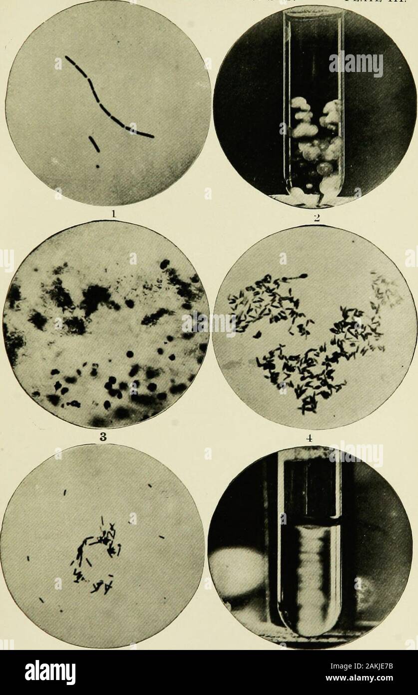 A manual of the modern theory and technique of surgical asepsis . Micro ...