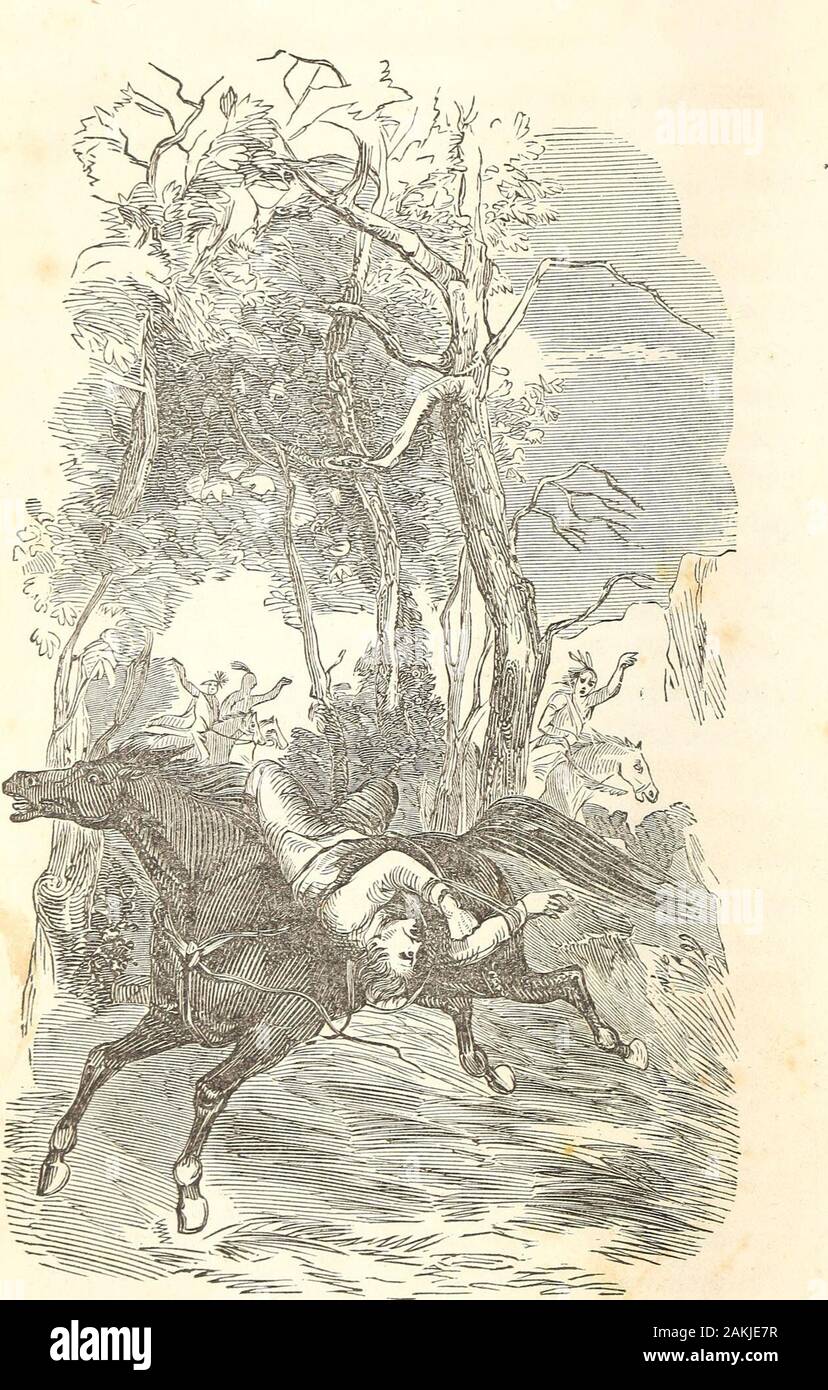 Bark wars hi-res stock photography and images - Alamy