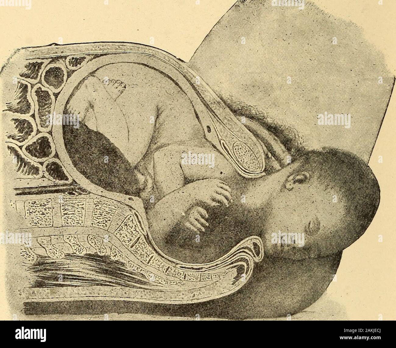 Vertex presentations hi-res stock photography and images - Alamy