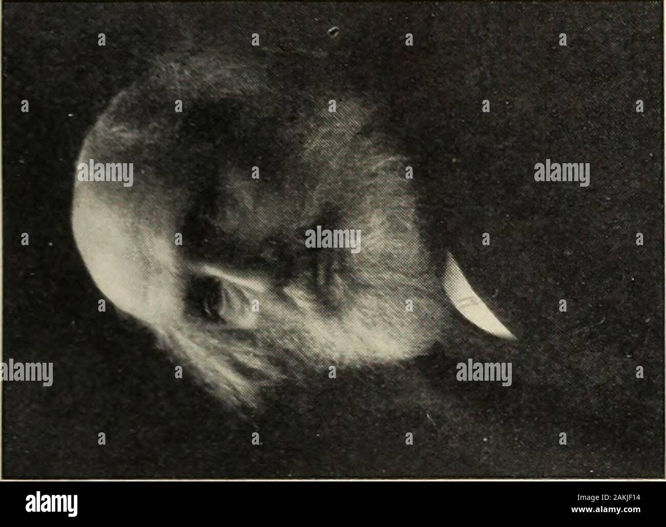 The story of Pilrig Church : 1843, 1863, 1913