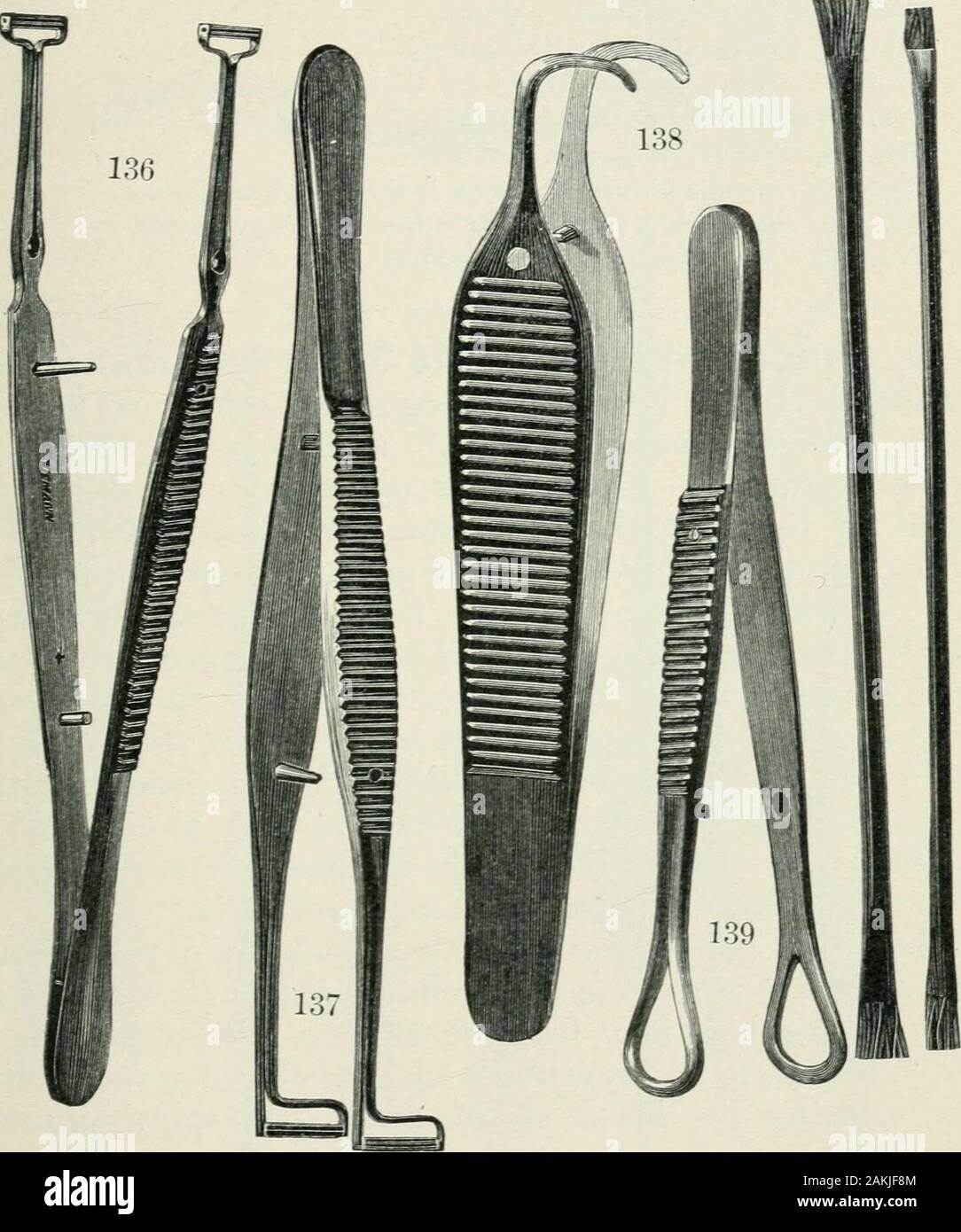 Caruncle hi-res stock photography and images - Alamy