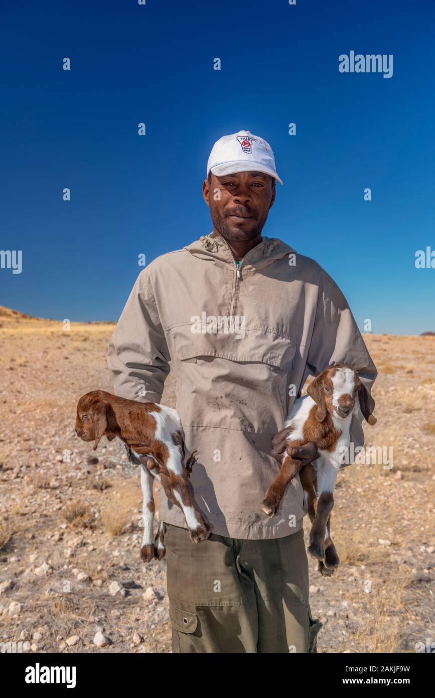 Goat Namibia High Resolution Stock Photography and Images - Alamy
