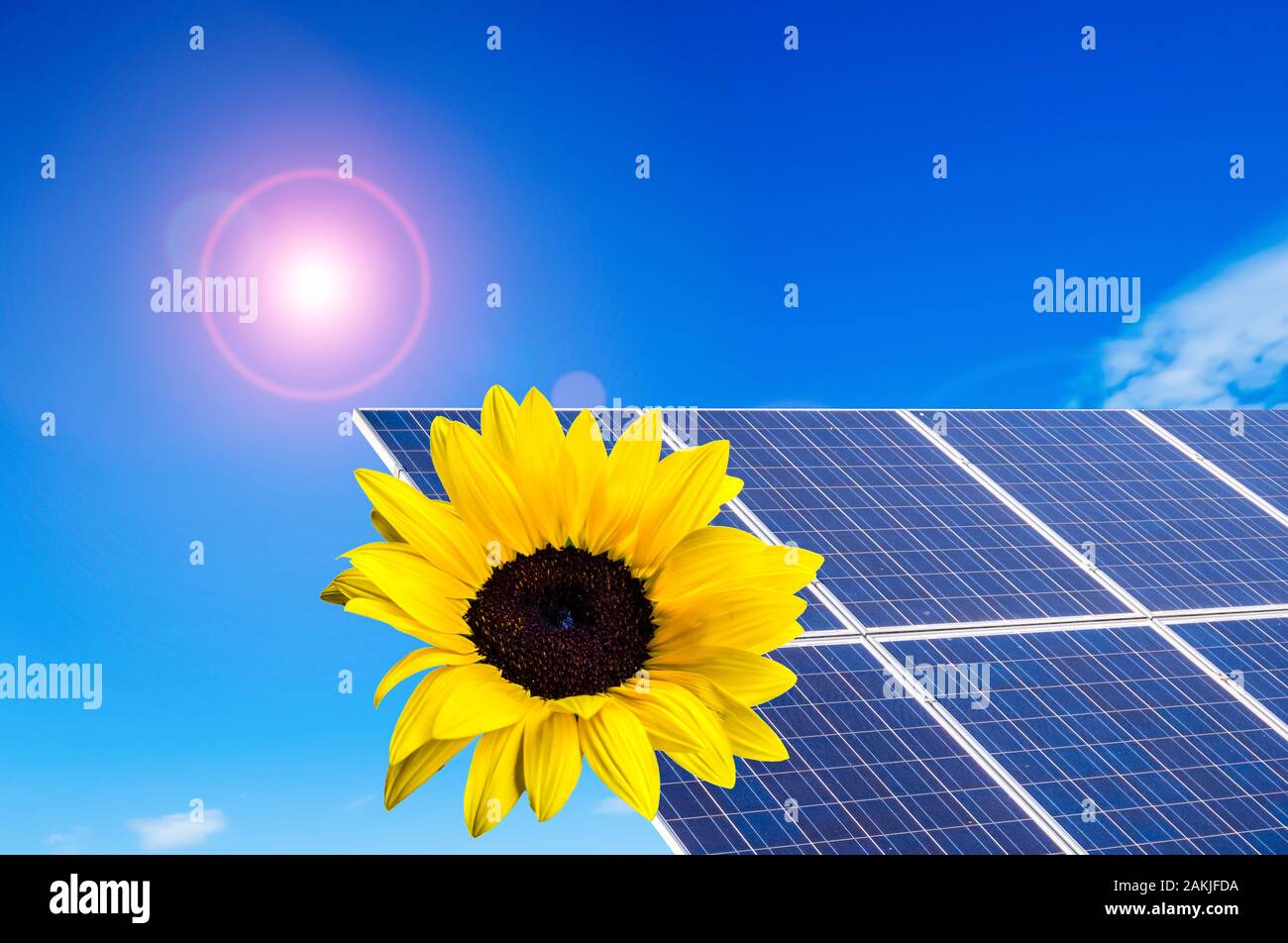 Solar Panel Energy with Sunflower Stock Photo - Alamy