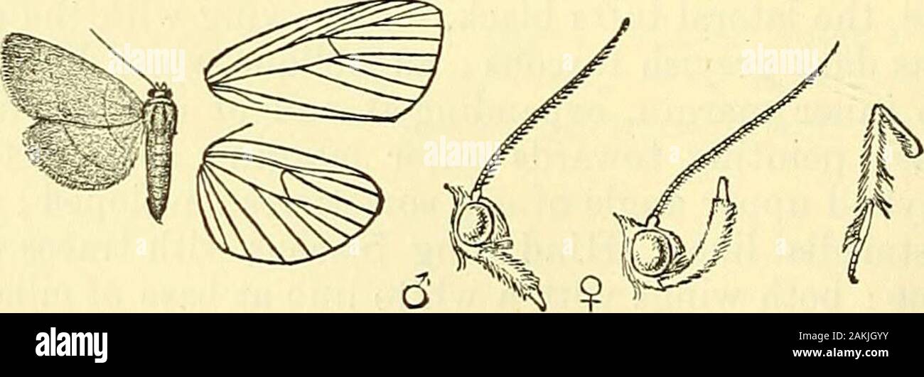 Mussooree High Resolution Stock Photography and Images - Alamy