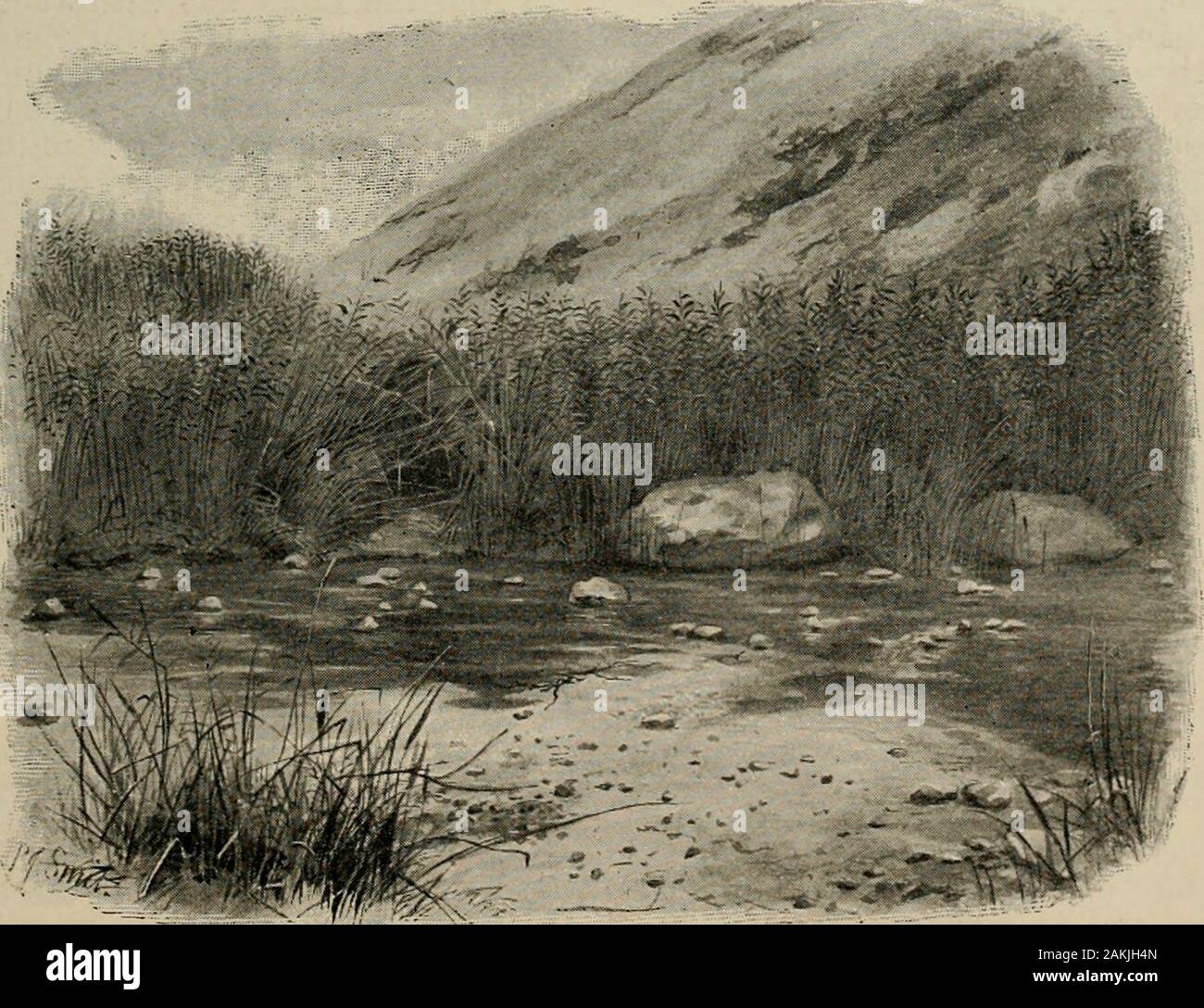 Serah joshua hi-res stock photography and images - Alamy