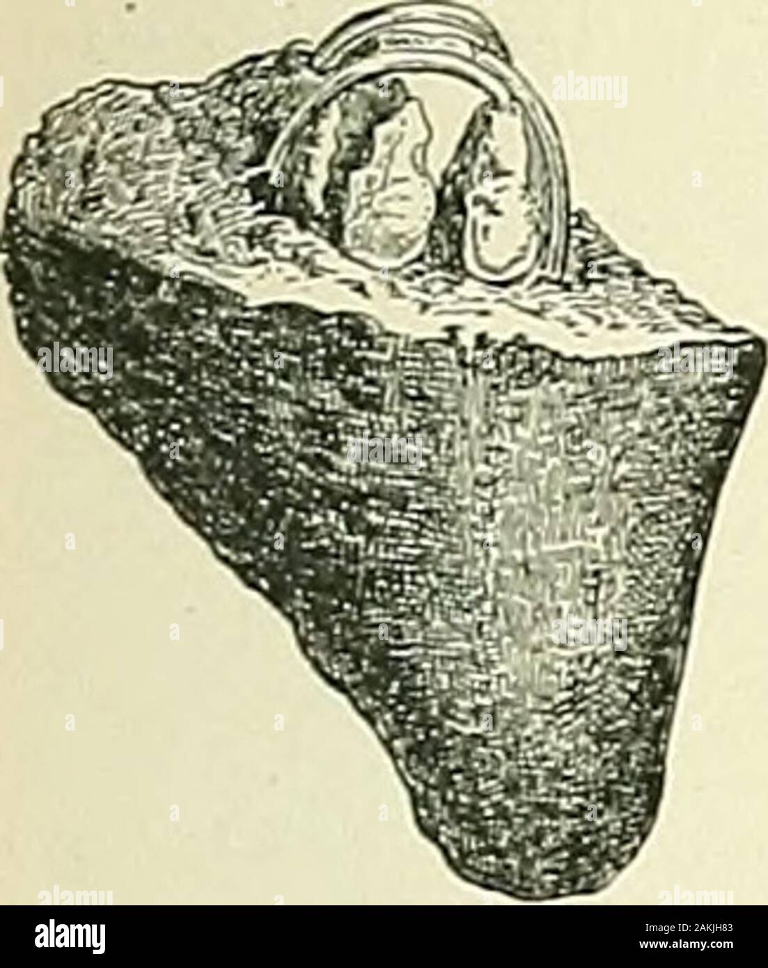 An American text-book of genito-urinary diseases, syphilis and diseases ...
