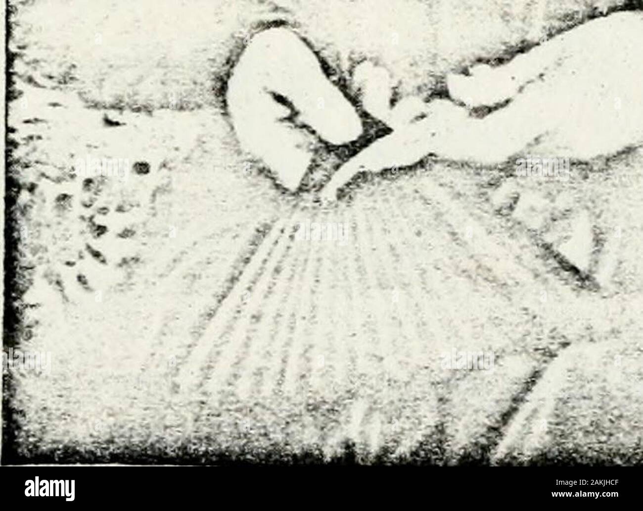 Genealogy of the Bingham family in the United States, especially of the ...