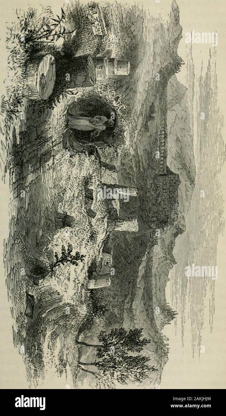 Dalmanutha hi-res stock photography and images - Alamy
