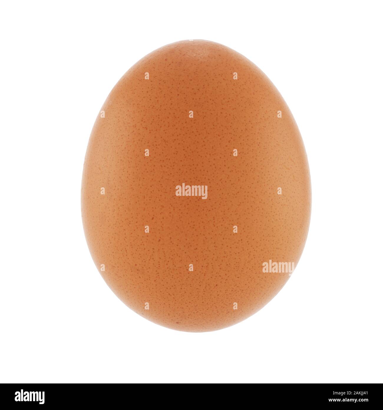 A Brown chicken egg on white with clipping path Stock Photo - Alamy