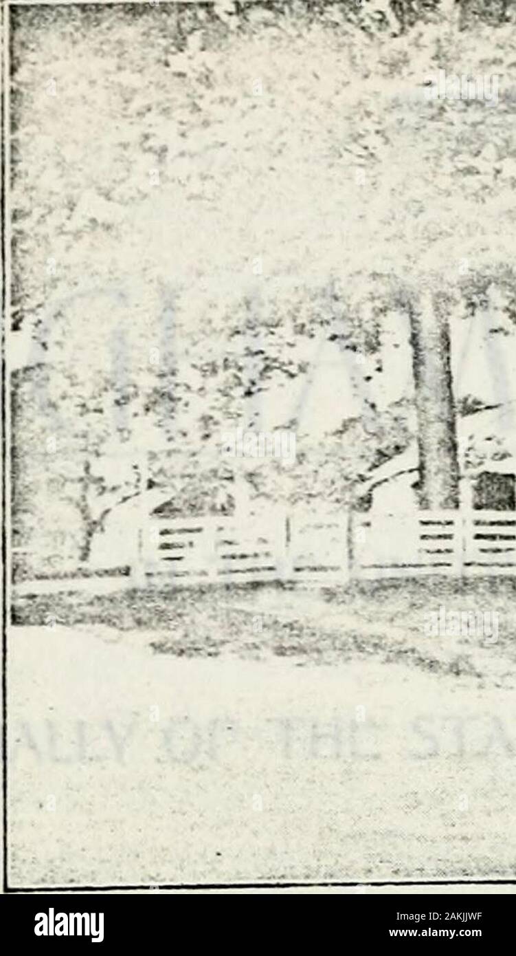 William bingham hi-res stock photography and images - Alamy