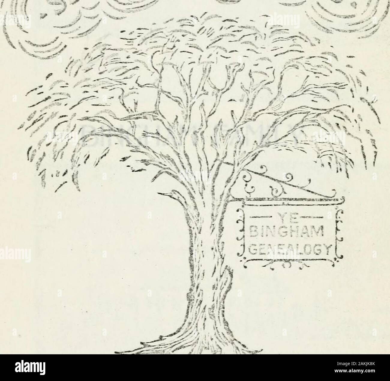 Genealogy of the Bingham family in the United States, especially of the ...