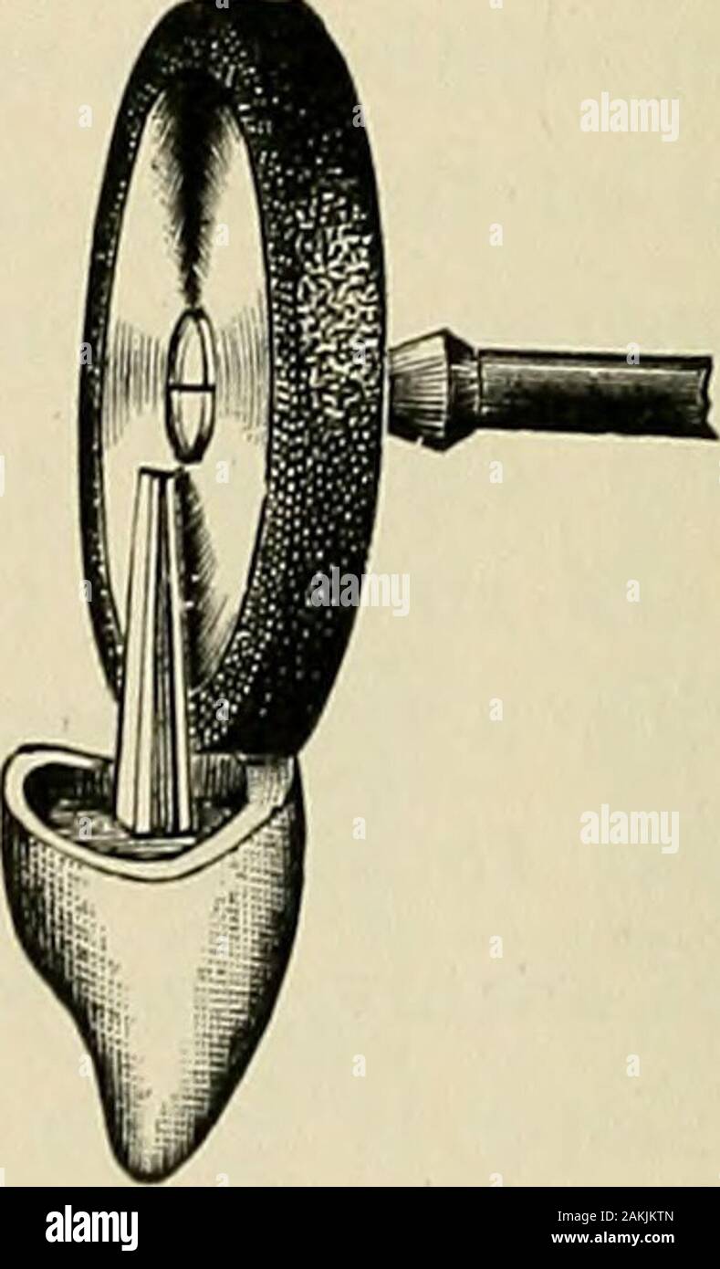 Pivot teeth hi-res stock photography and images - Alamy