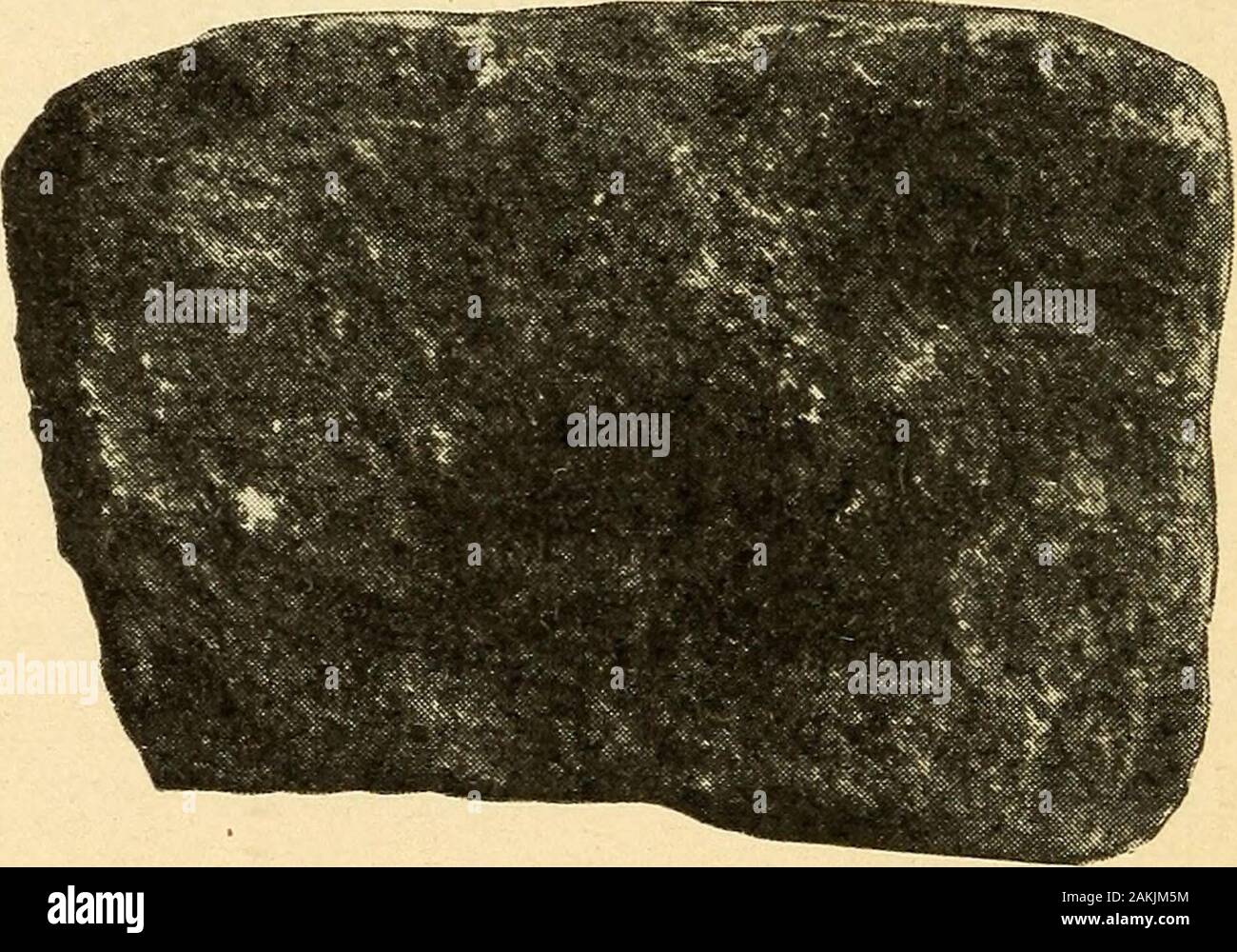 Creosoted wood hi-res stock photography and images - Alamy