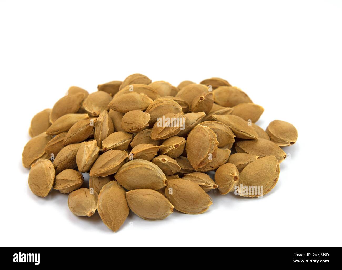 Apricot kernels isolated against a white background Stock Photo - Alamy