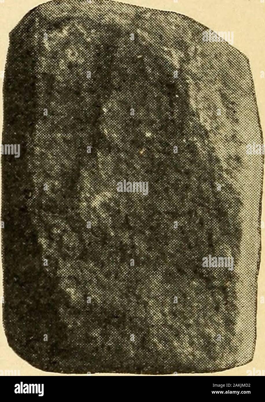 Creosoted hi-res stock photography and images - Alamy