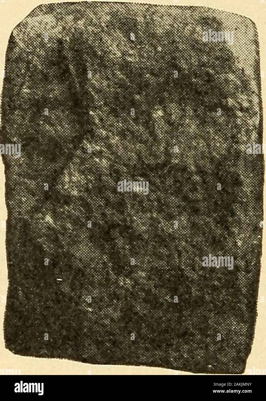 Creosoted hi-res stock photography and images - Alamy