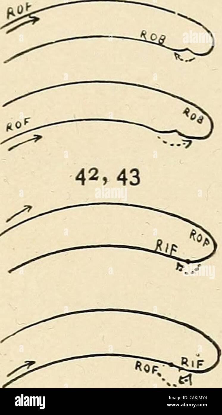 A handbook of figure skating arranged for use on the ice; with over six ...