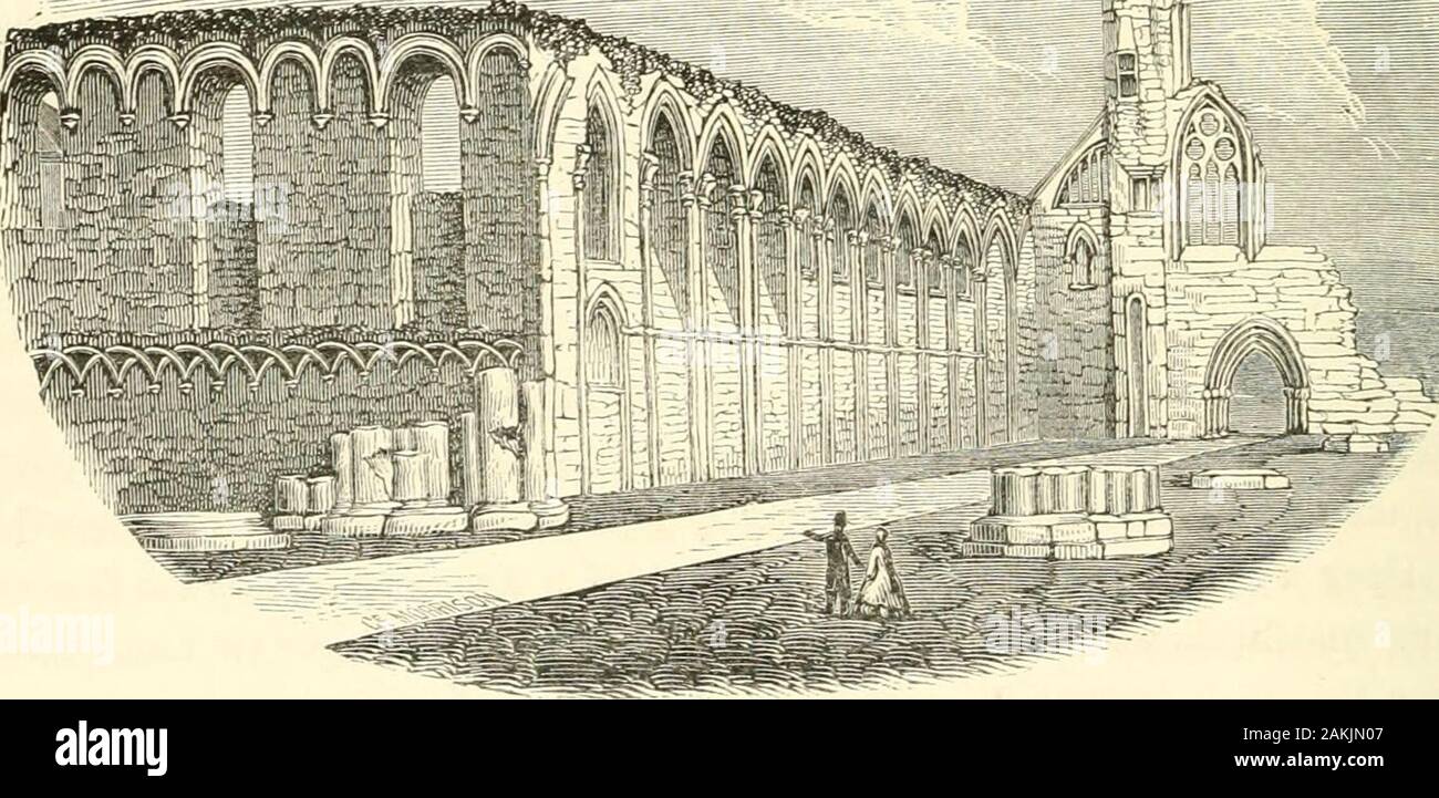 Dog tooth moulding hi-res stock photography and images - Alamy