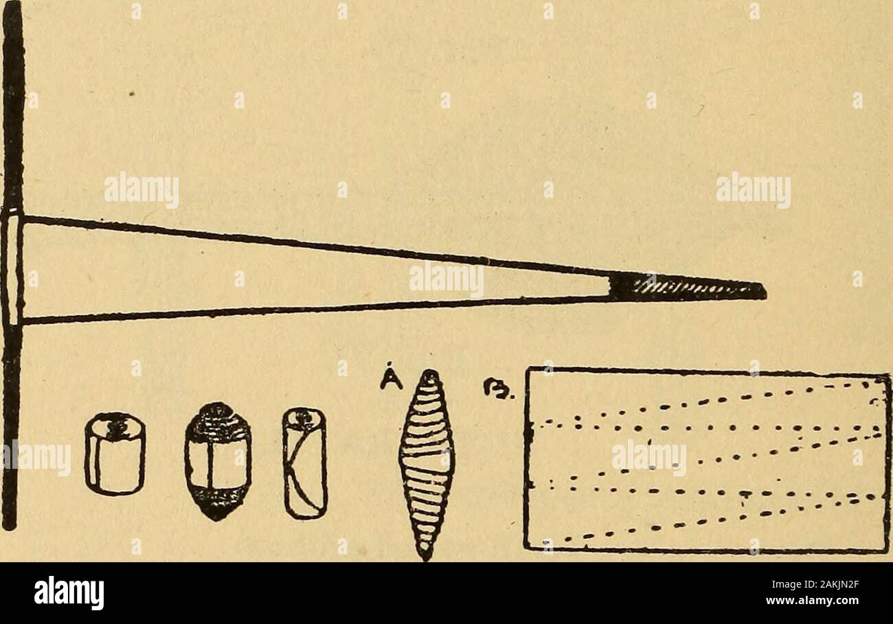 The playwork book . Fig. 71. RUSH RATTLE Materials Required:— Green ...
