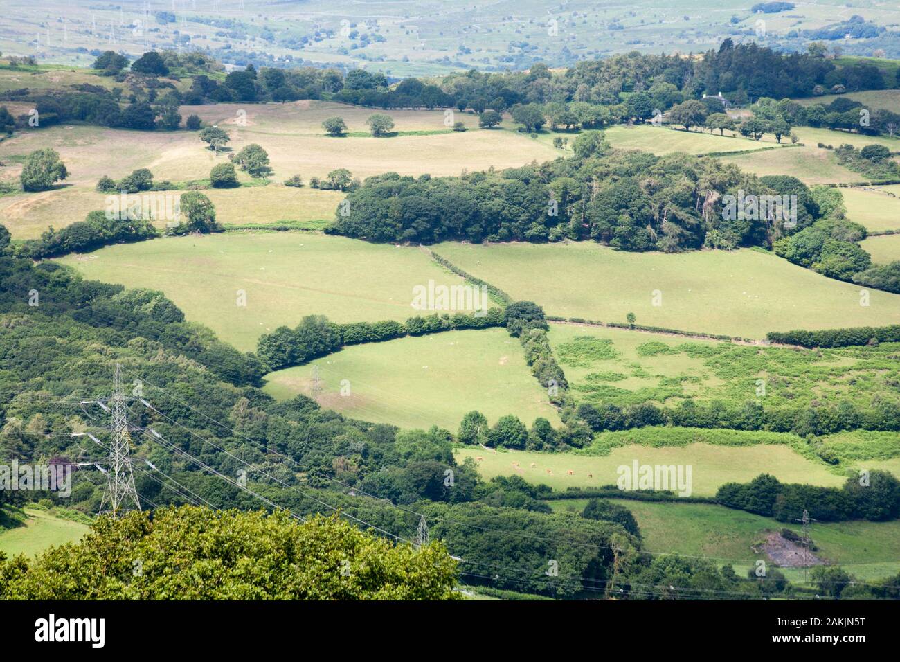 Tree hedges and field boundaries in the Conwy Valley near the village ...