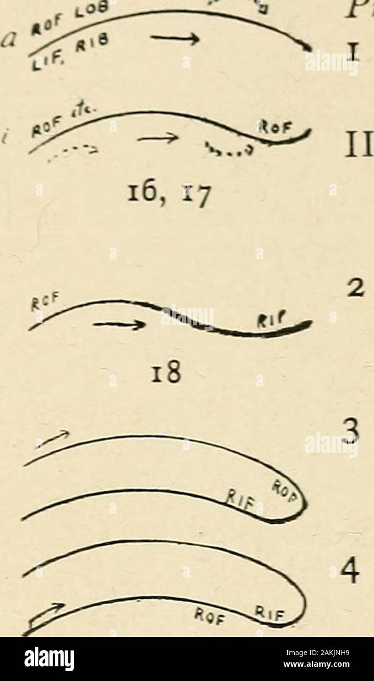 A handbook of figure skating arranged for use on the ice; with over six ...