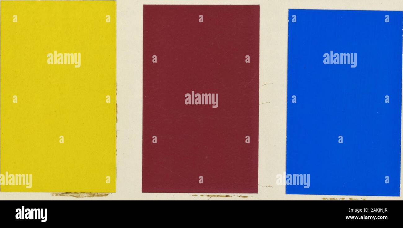 The theory and practice of color . PRIMARY COLORS. YELLOW RED BLUE ...