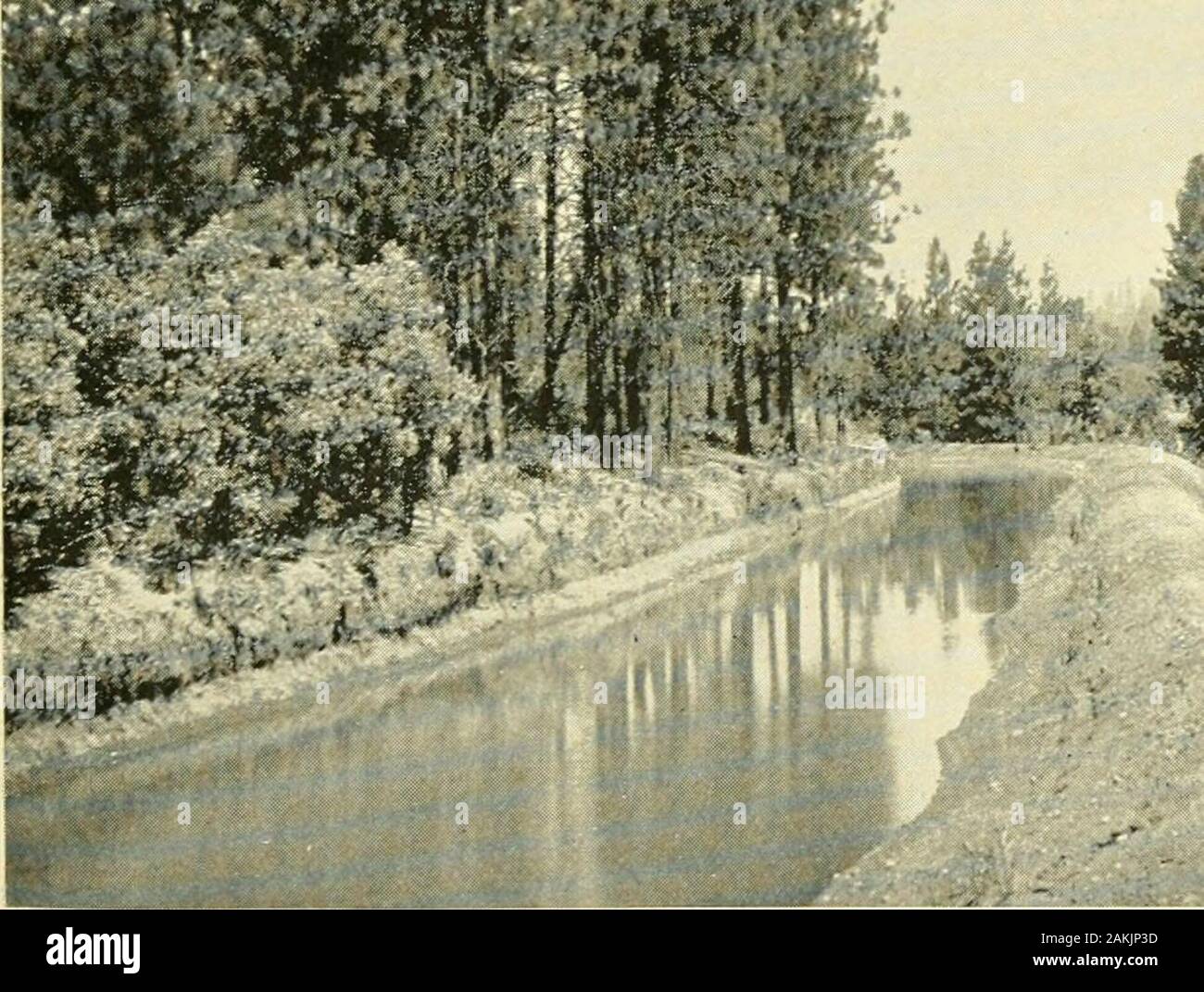 Twenty stamp gold mill hi-res stock photography and images - Alamy