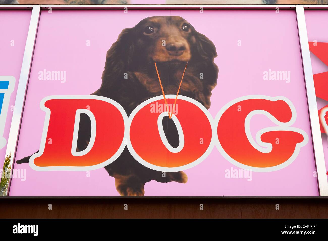 Dog sign with photo of a dog and the letters "dog Stock Photo - Alamy