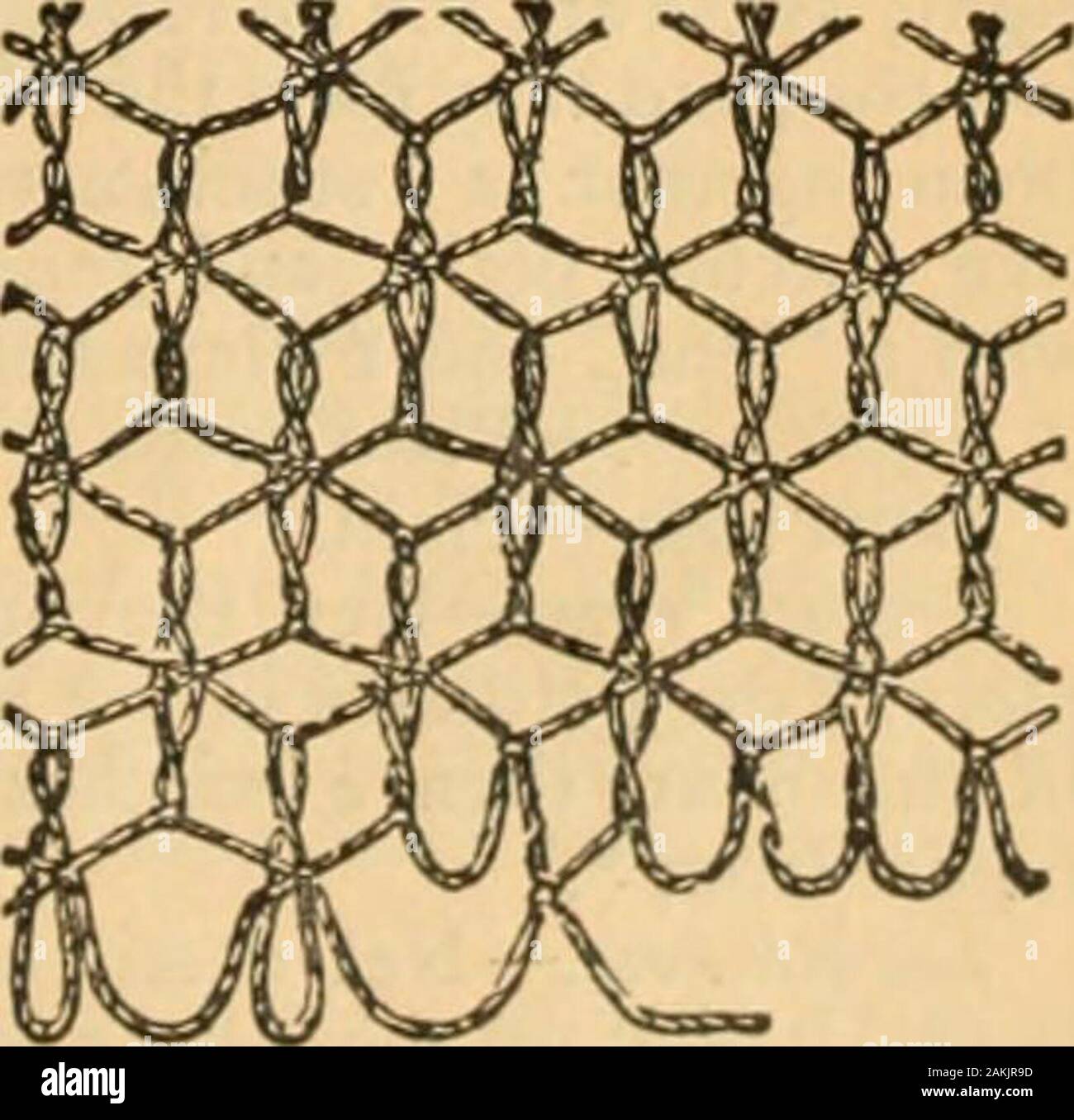 Tatting and netting . l.—Fancy Nbttino. No. 64.—Stripe Netting. No. 65 ...