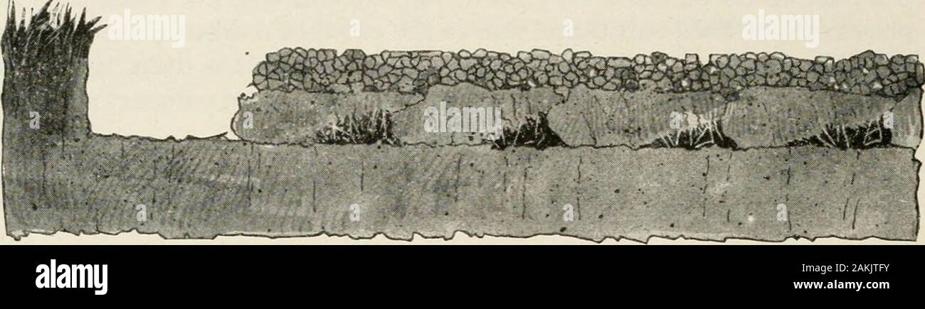 Disced hi-res stock photography and images - Alamy