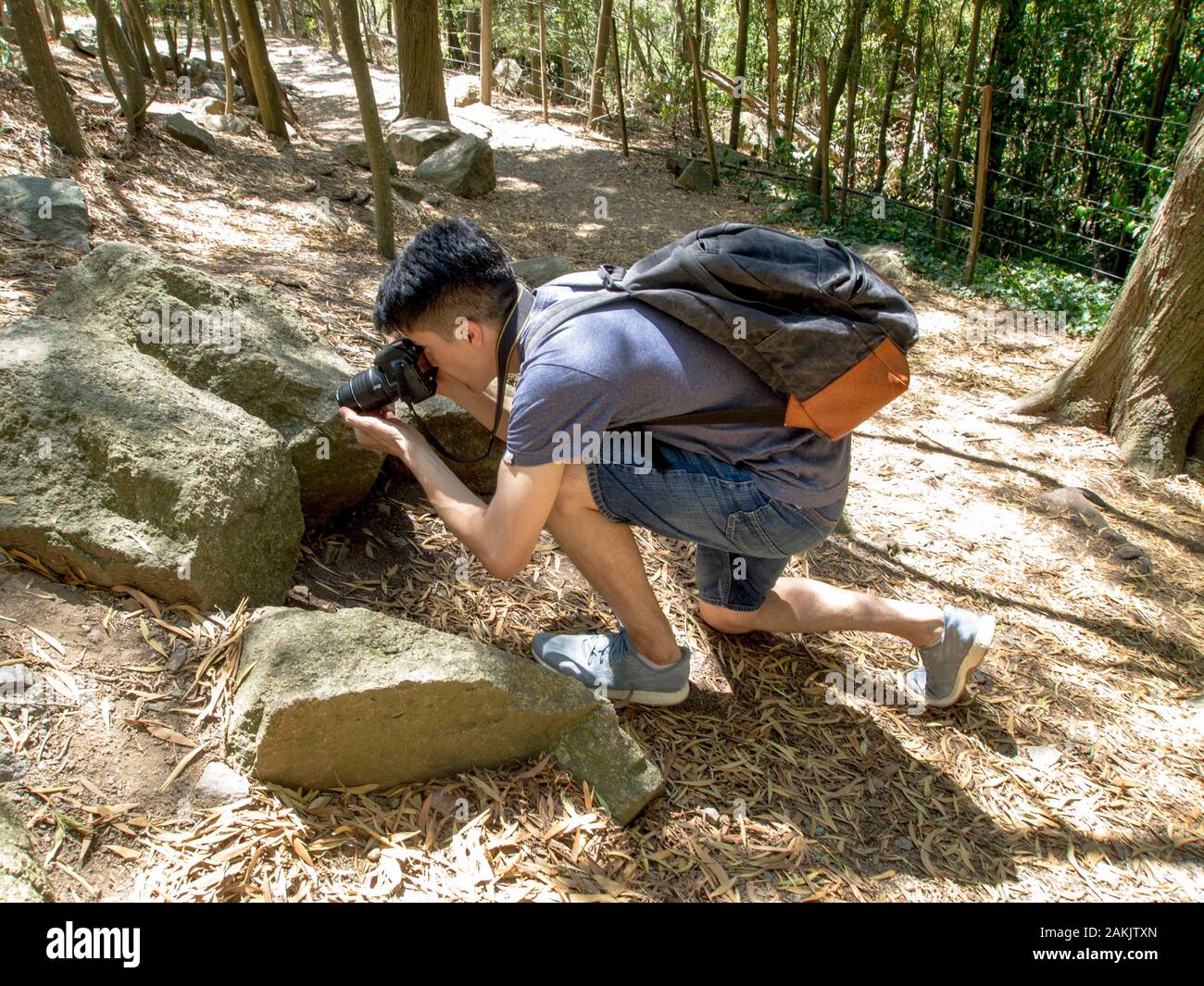 Young argentinian photographer taking a macro picture of an insect ...