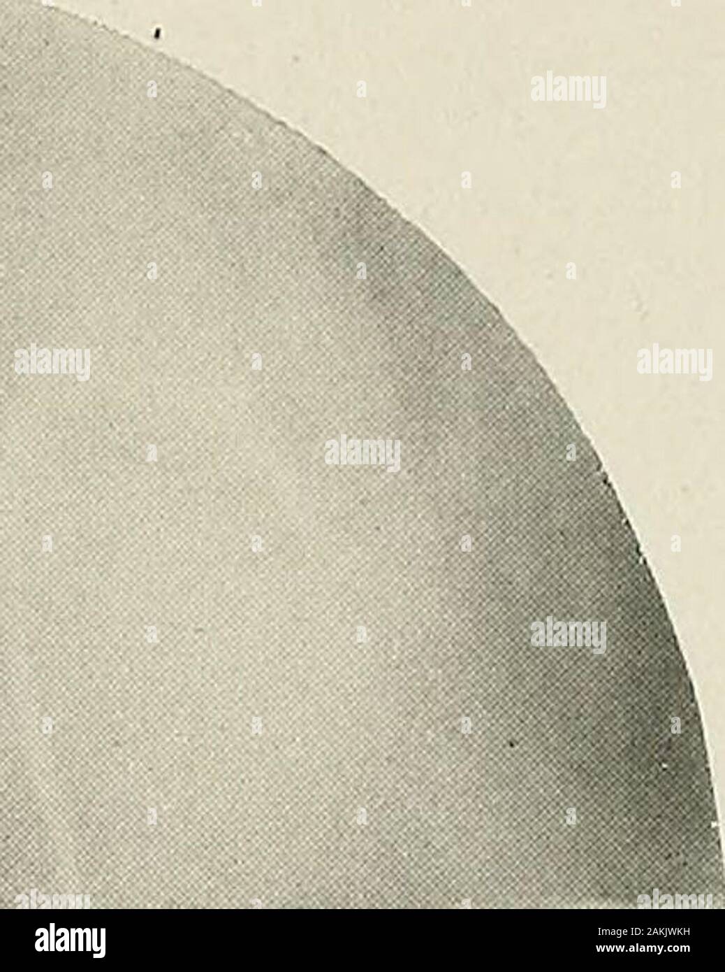 Pyelography (pyelo-ureterography) a study of the normal and pathologic ...