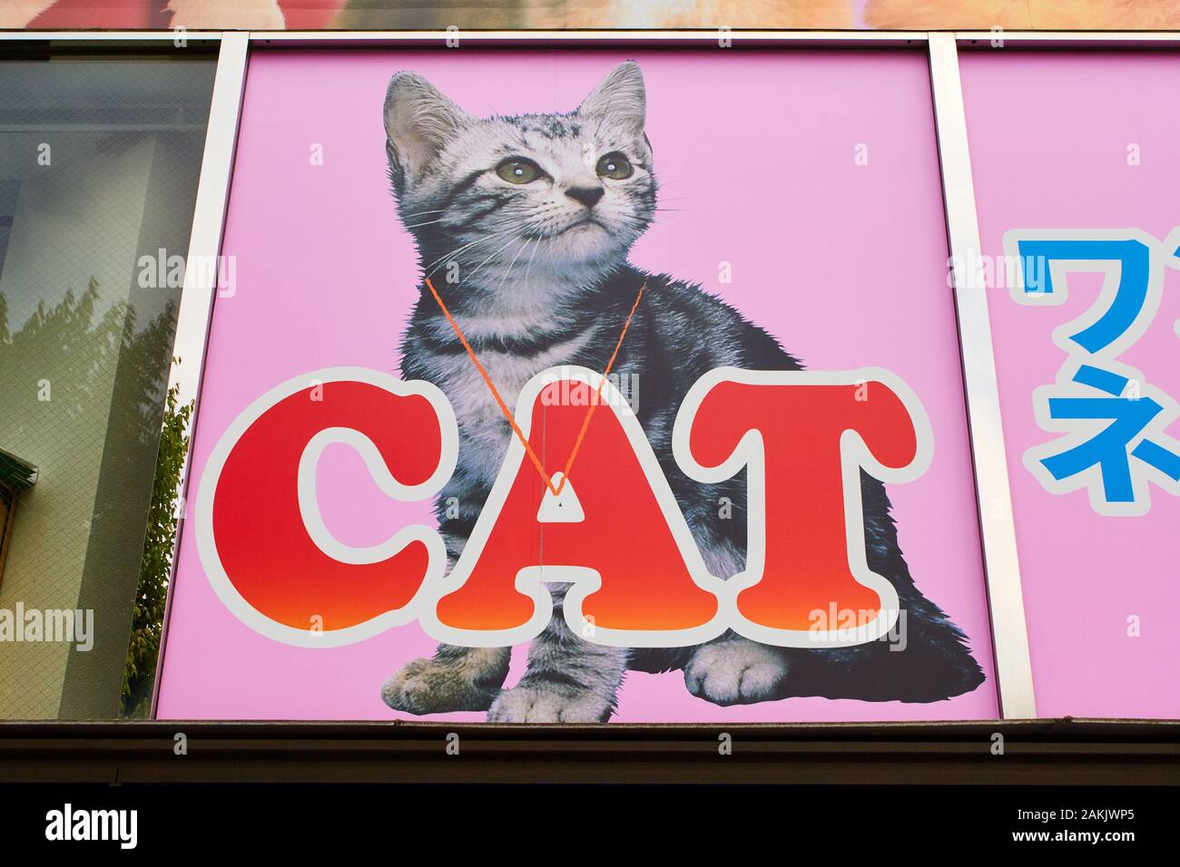 Cat sign hi-res stock photography and images - Alamy