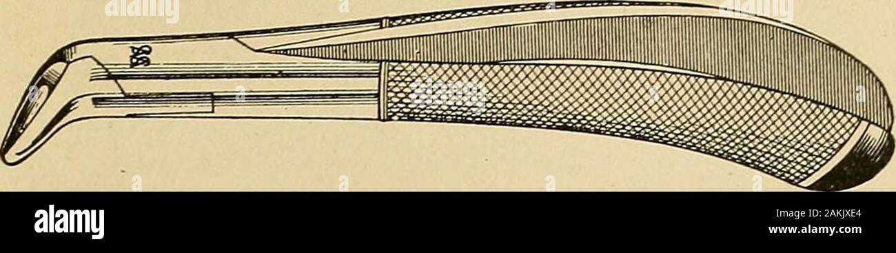 Principles and practice of operative dentistry . Superior alveolar root ...