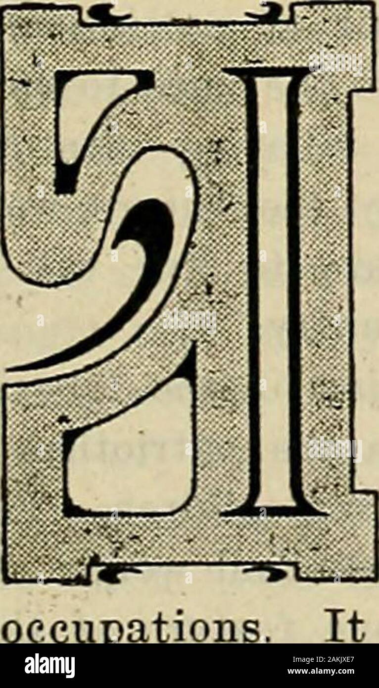 Servility hi-res stock photography and images - Alamy