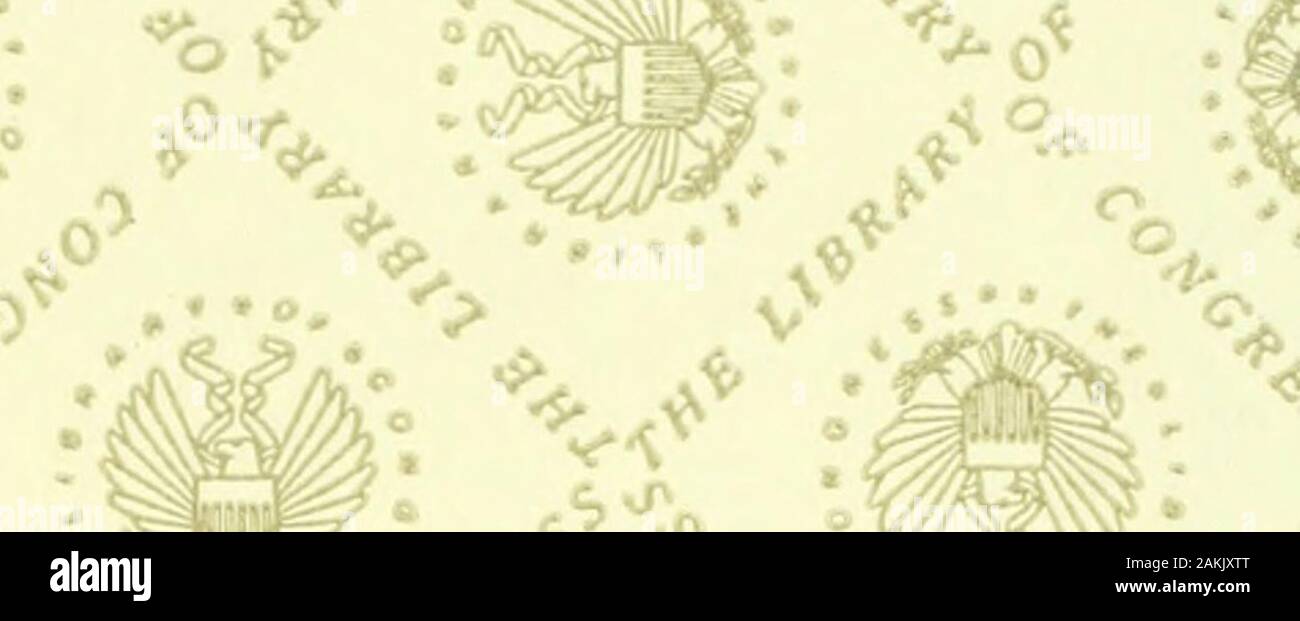 Saint Louis: the future great city of the world . .1 . v^ .^i ...