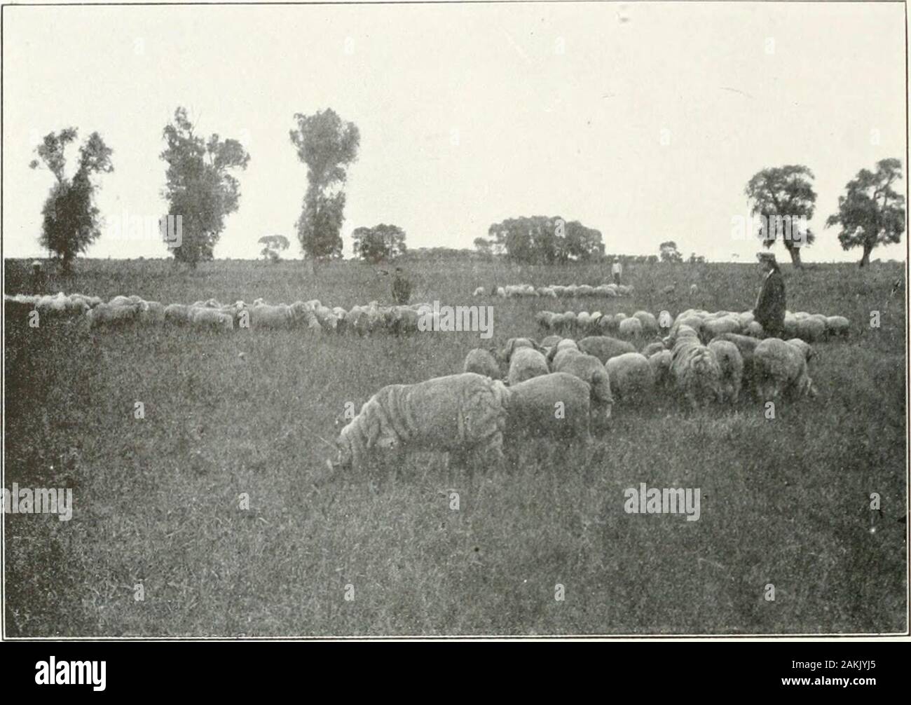 South manchuria railway hi-res stock photography and images - Alamy