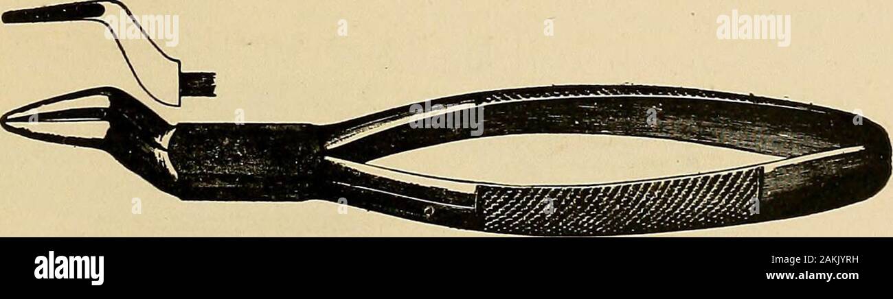 Bayonet forceps hi-res stock photography and images - Alamy