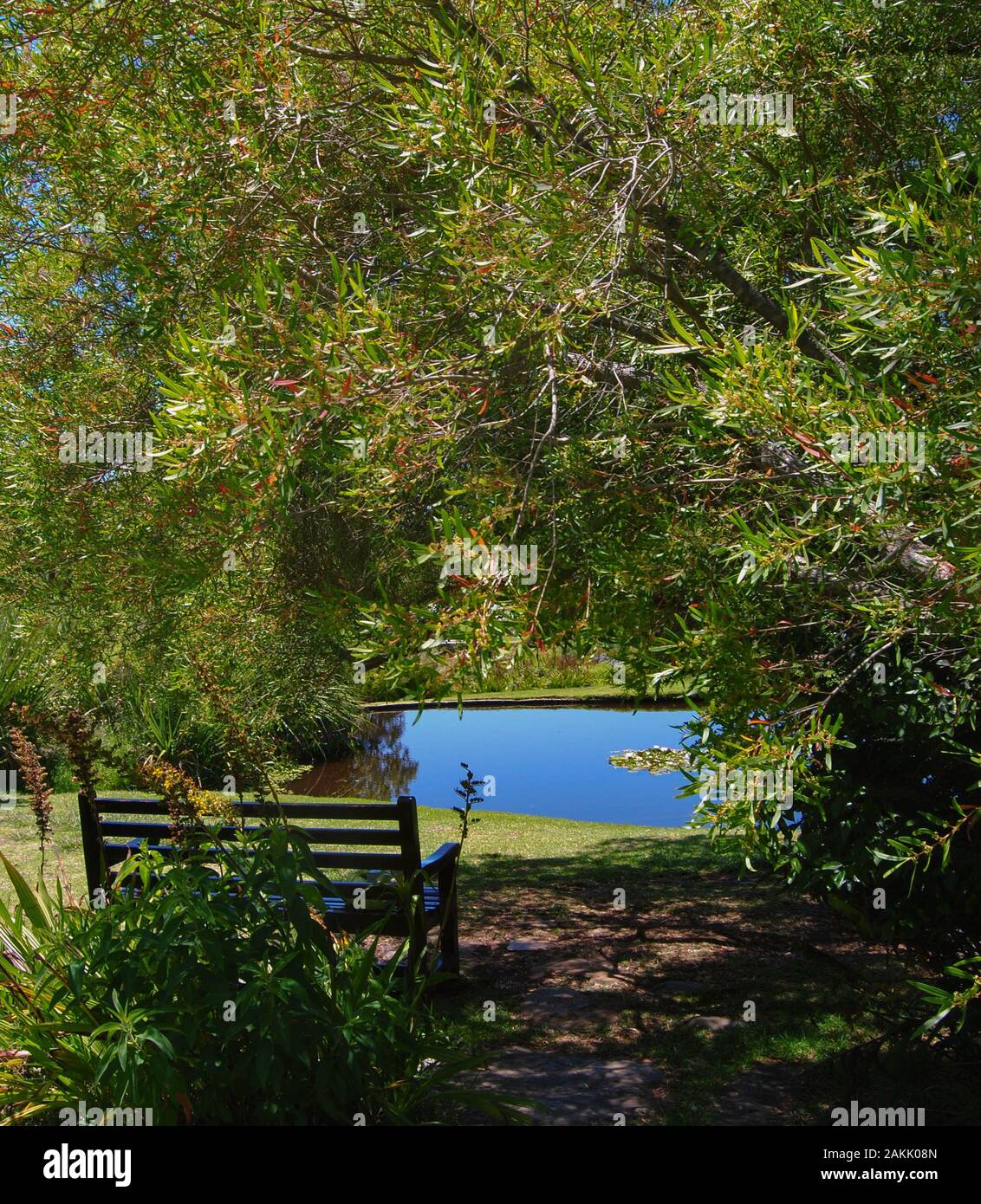 Pond bench hi-res stock photography and images - Alamy