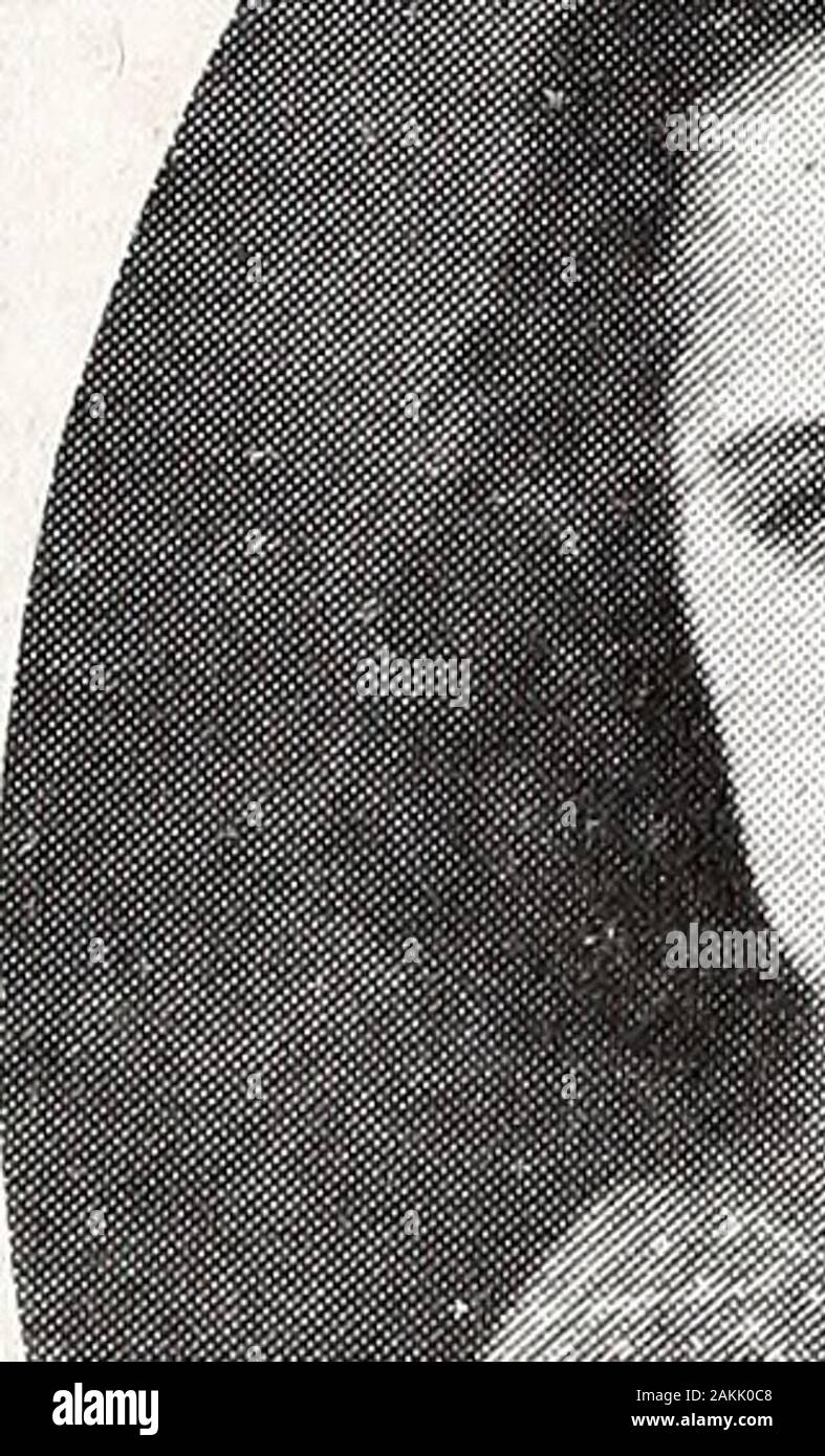 Meek creature hi-res stock photography and images - Alamy