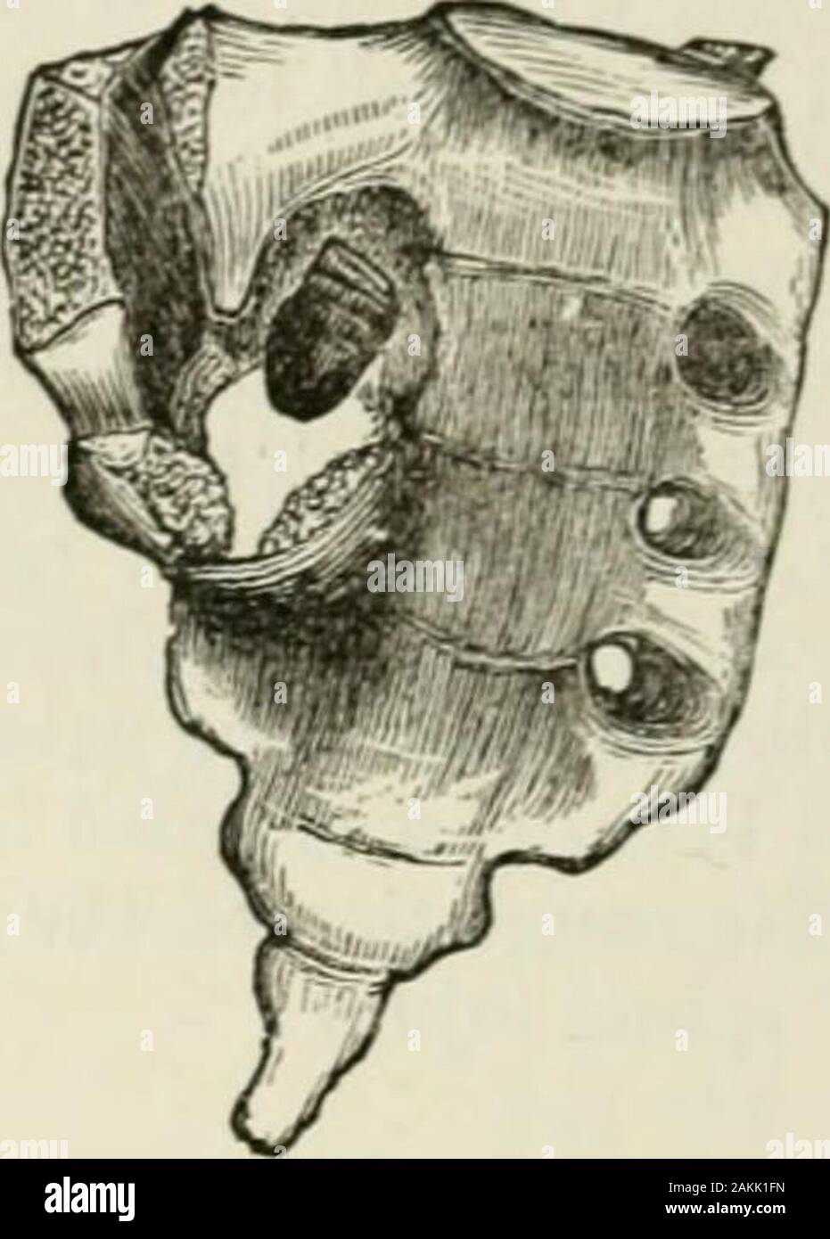 Ortant hi-res stock photography and images - Alamy