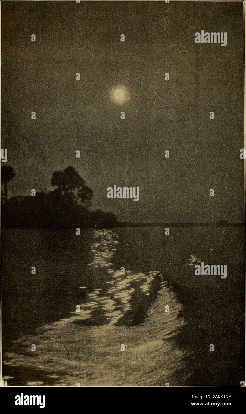 Outing . A moonlight effect Stock Photo - Alamy